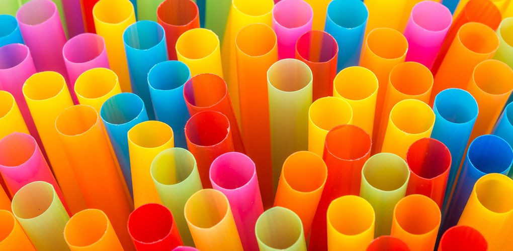 Llegaron los popotes sustentables – ExpokNews