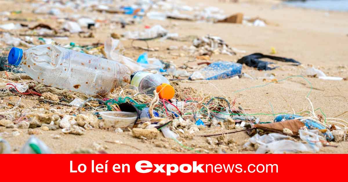 10 datos sobre la contaminación por plástico