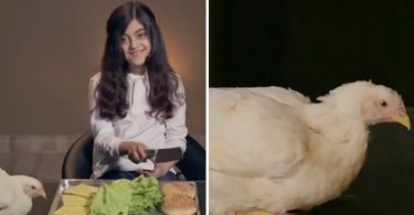 3 campañas muy polémicas de PETA - ExpokNews