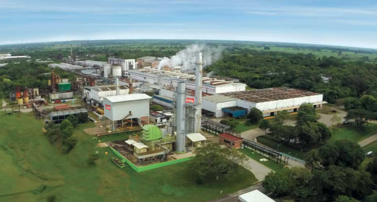 La sustentabilidad de Bio Pappel - ExpokNews