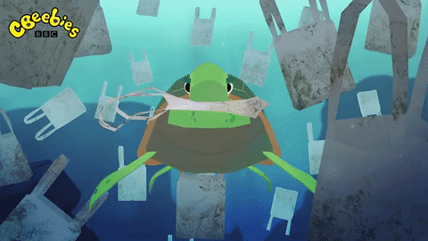 127 naciones ya luchan vs los plásticos de un solo uso - ExpokNews