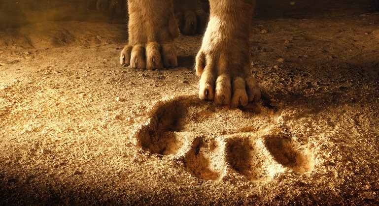 ¿Por qué cambiaron tanto las hienas en la nueva versión de El Rey León ...