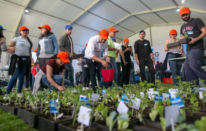 Pfizer es reconocida con el Top Rewards 2019 por sus prácticas de ...