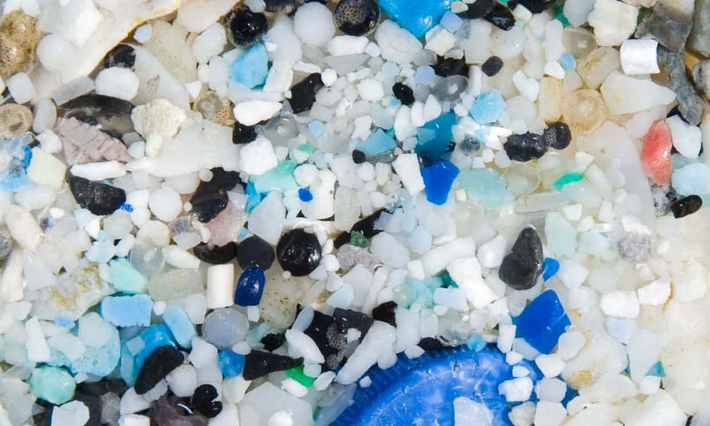 Impacto de microplásticos en la salud: OMS - ExpokNews