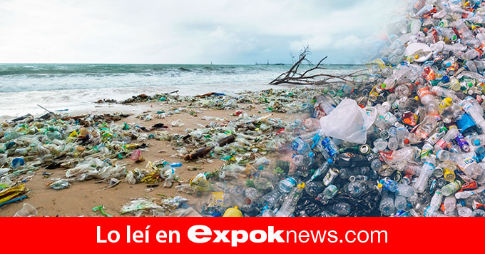 Plásticos en el océano se cuadriplicarán para 2040 – ExpokNews