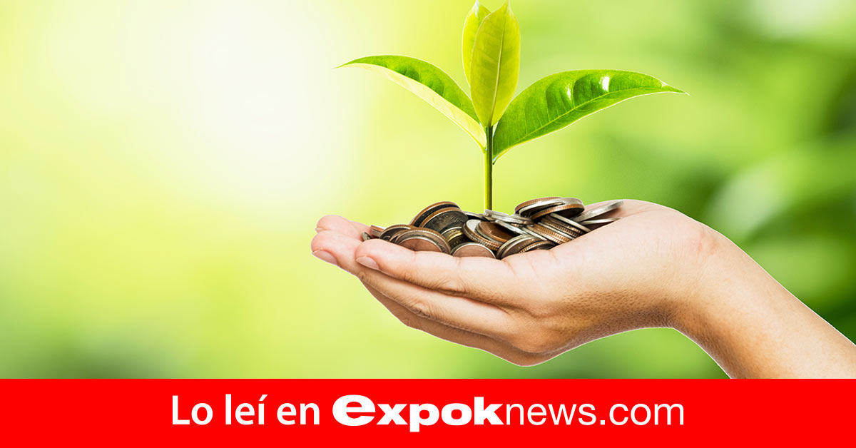 Las inversiones verdes nunca habían sido tan sencillas
