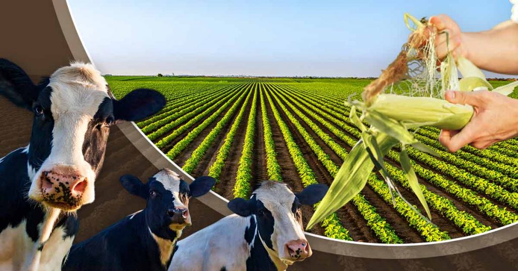 Cuidado de comunidades rurales