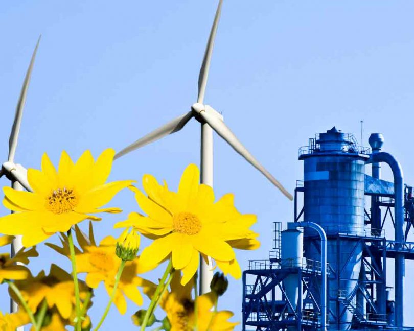 4 factores a examinar para establecer metas de sustentabilidad en una ...