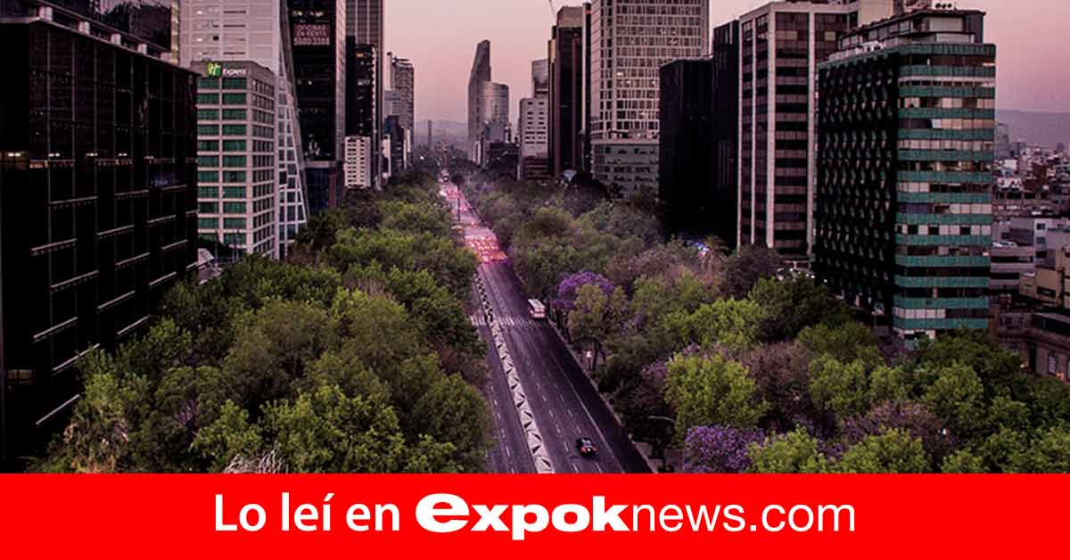 ¿Se muere el Ahuehuete de Reforma? Esto dice Sedema