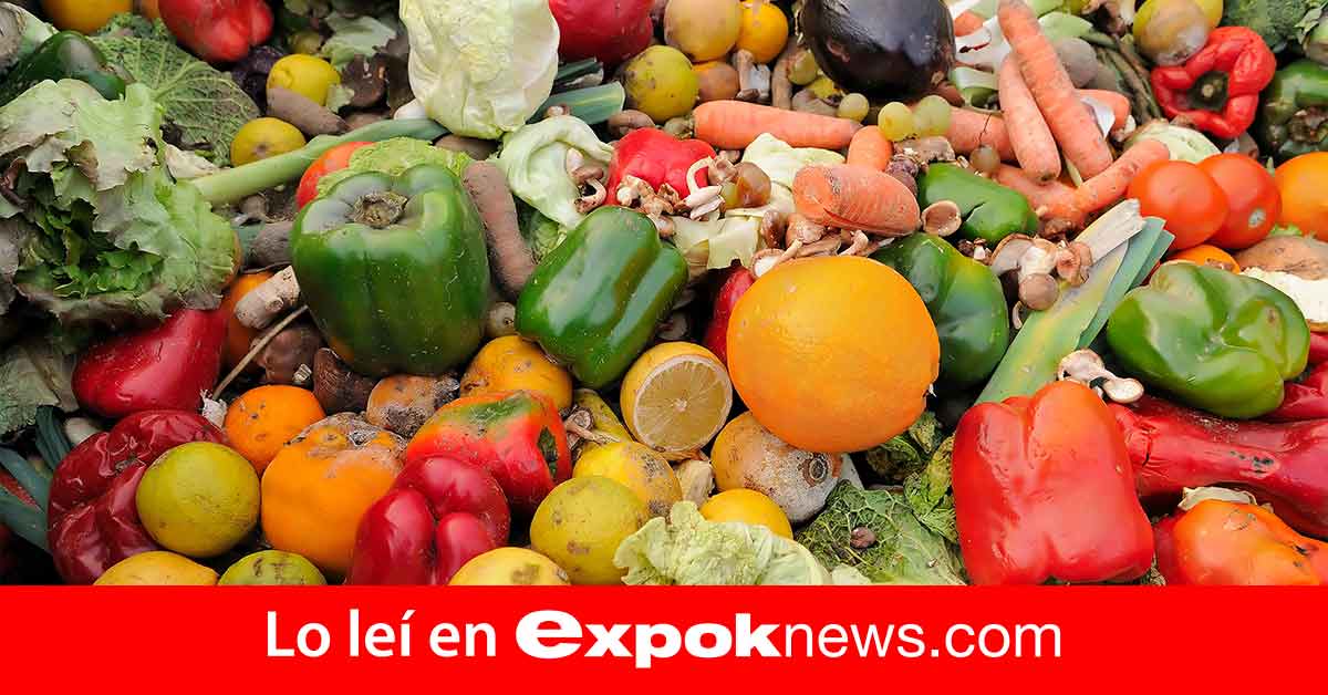 Reducir desperdicio de alimentos con envasado