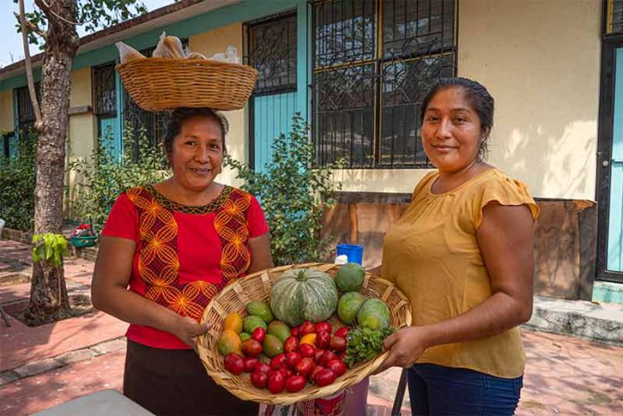 Proyectos productivos que impulsan la economía en Oaxaca
