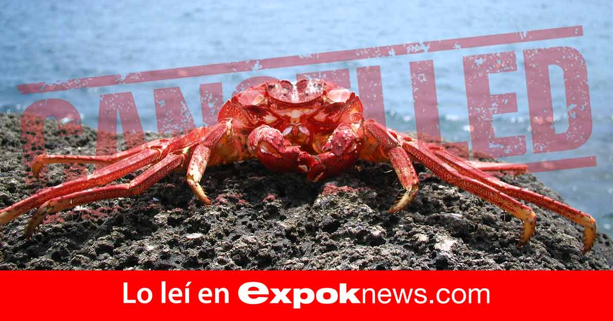 Cancelan temporada de cangrejo de las nieves de Alaska