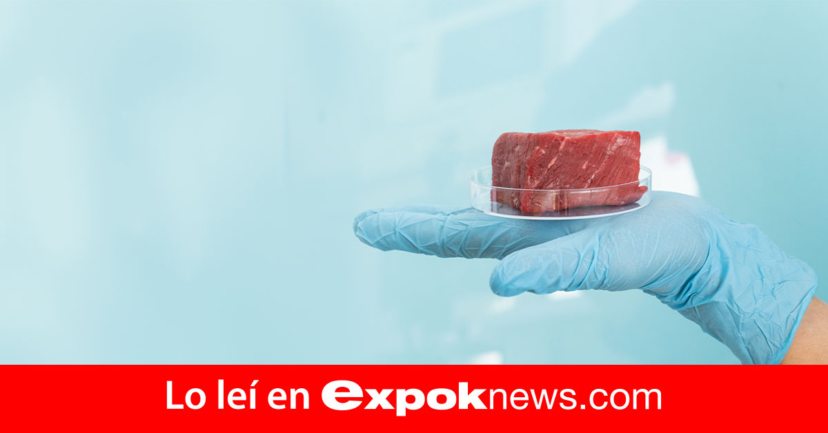 ¿Cómo comer carne sin matar animales?