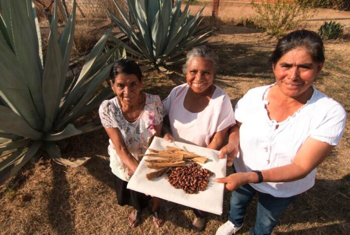 Proyectos Productivos de GRG cumple 20 años; ¿y si celebramos todo el año?