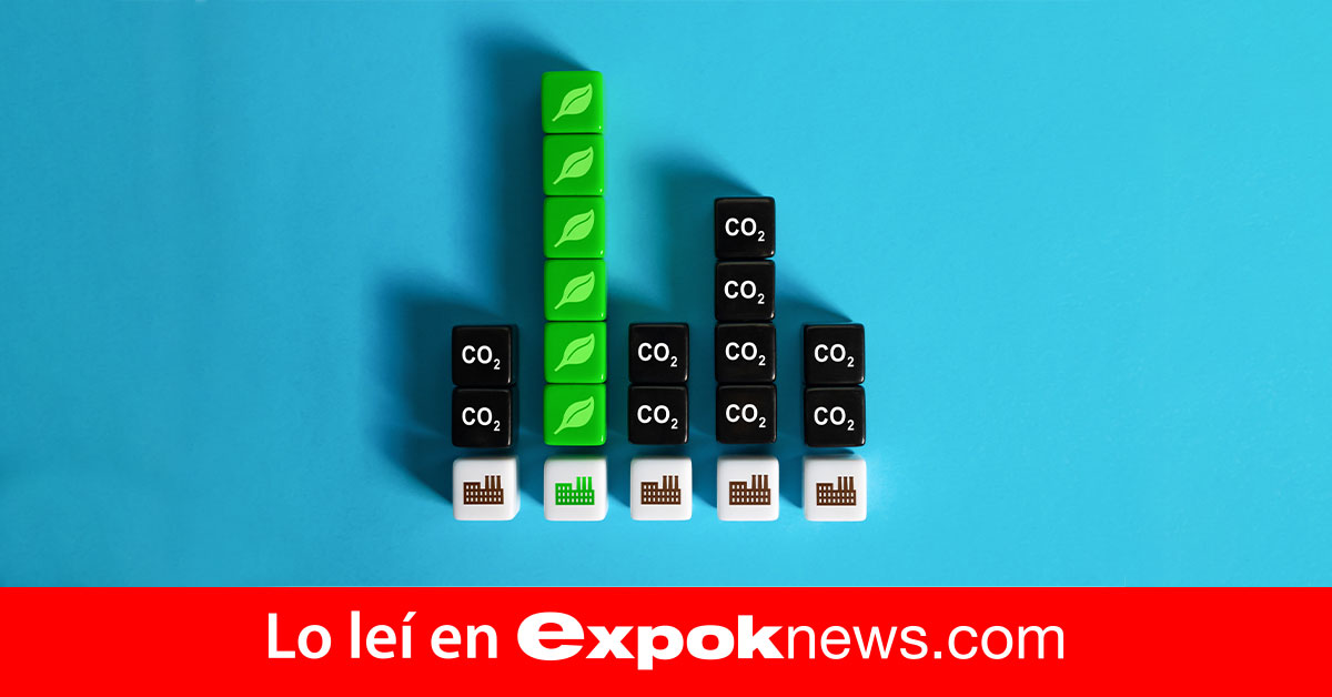 Negocios sostenibles son más rentables: Estudio