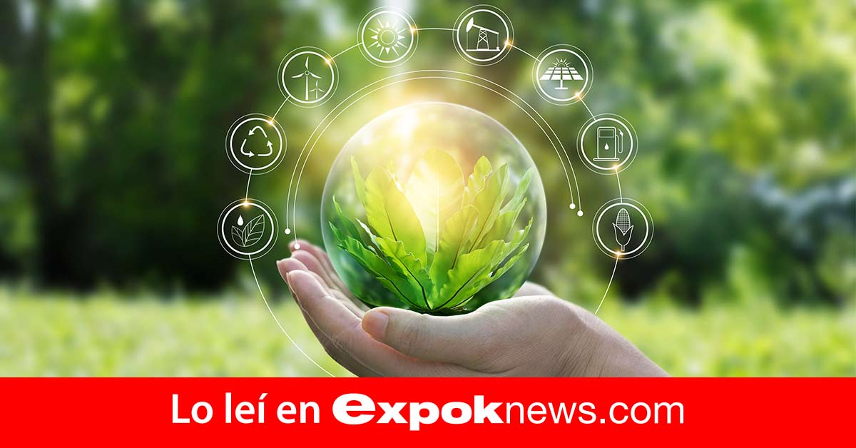 10 ideas para celebrar el Día de la Tierra