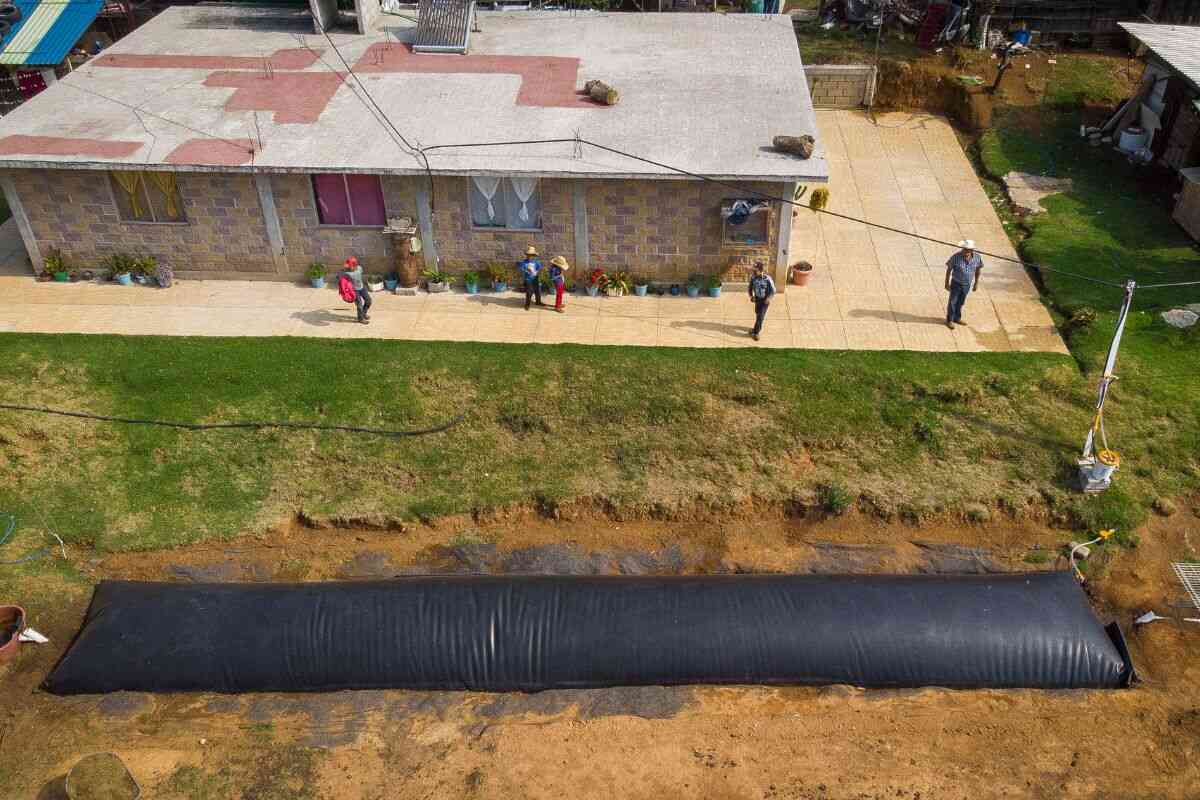 Entrevista Sistema.bio