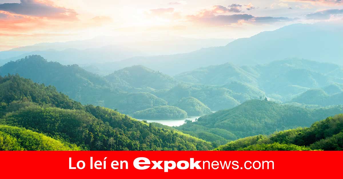 Qué es capital natural; y por qué importa