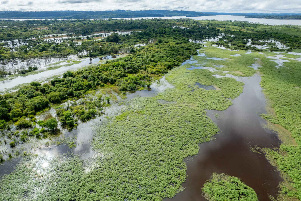 EY lanza el primer hub de naturaleza de Latinoamérica en la COP28 ...