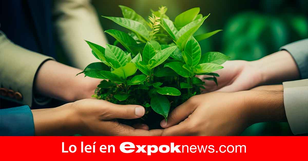 En la COP28, menos del 10% de las empresas presionan por mejores ...