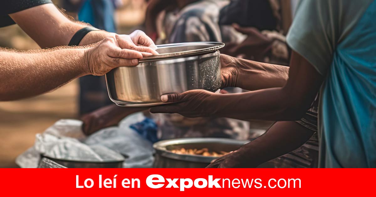 20 formas de combatir el hambre en el mundo