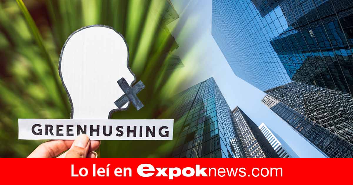 ¿Cómo frenar el greenhushing en tu compañía?
