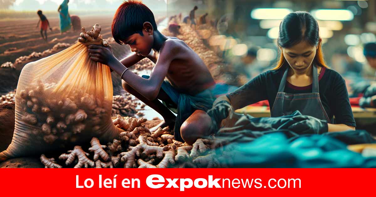 10 países con mayor explotación laboral en el mundo
