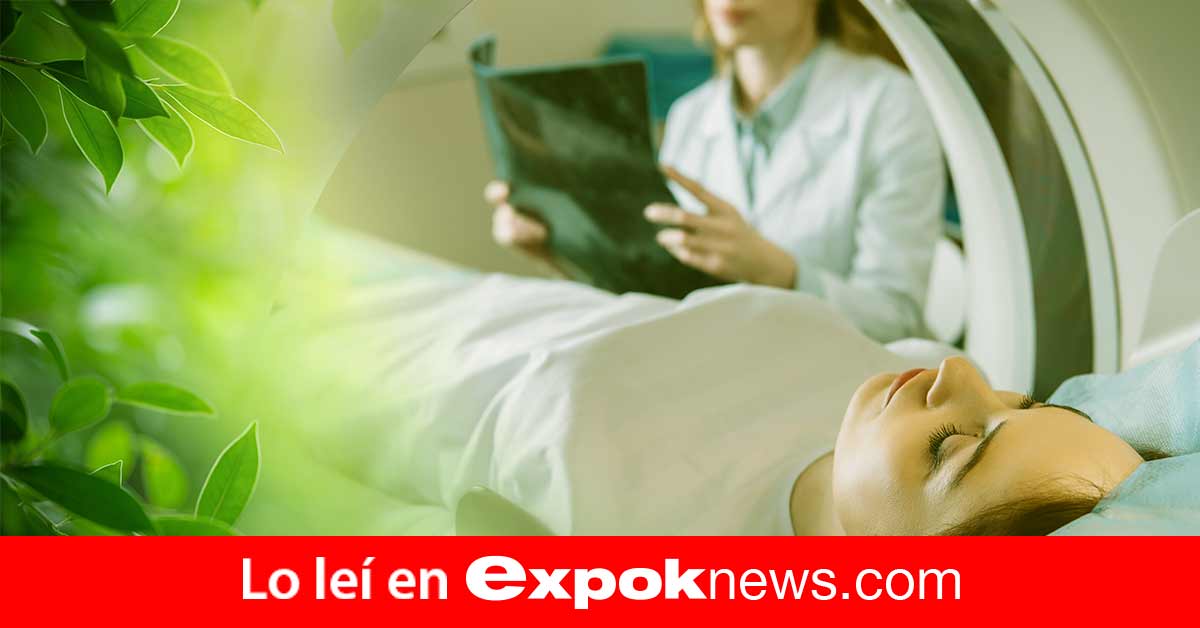 ¿Cuál es la relación entre la salud humana y el medio ambiente?