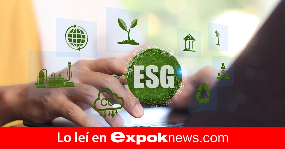 4 áreas de enfoque para programas ESG - ExpokNews