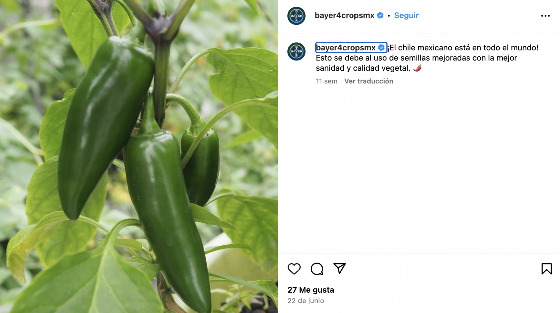 Agricultura regenerativa: la apuesta de Bayer por la sustentabilidad