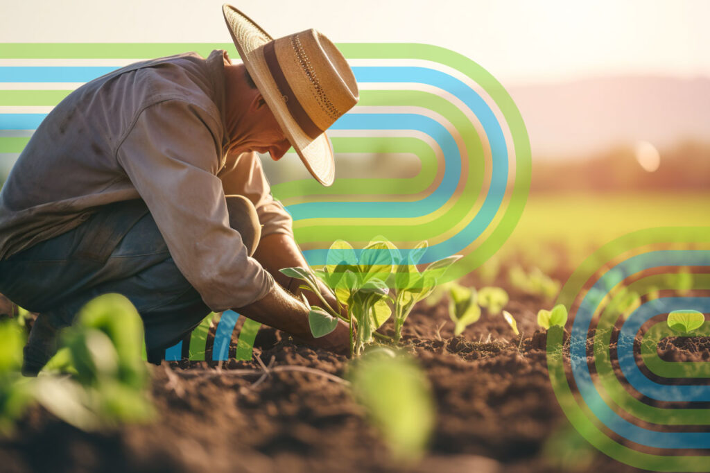 Agricultura regenerativa: la apuesta de Bayer por la sustentabilidad