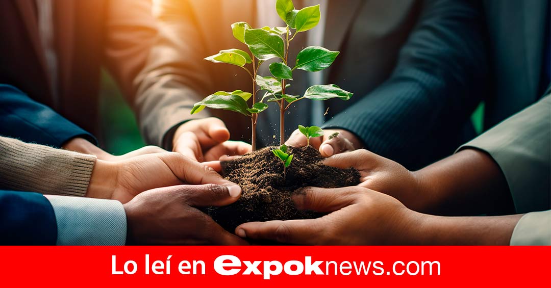 7 razones para alinearse a la RSE