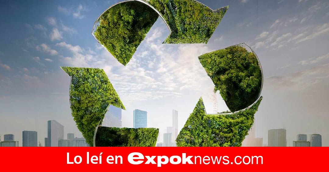 RSE en 2026: economía circular y resiliencia corporativa
