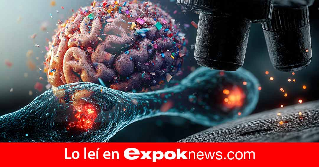 ¿Alarma exagerada? Científicos cuestionan el hallazgo de microplásticos ...